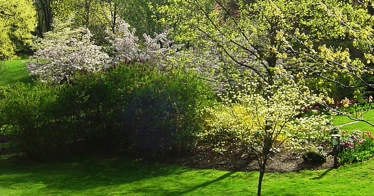 Reeves-Reed Arboretum | Journey Through Jersey